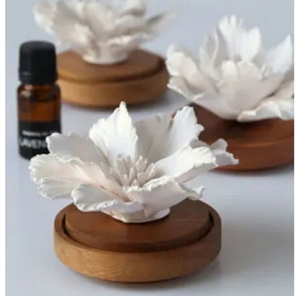 Paper & source | Accents | Buy 5 Get 3 Free Paper Source Chamomile ...